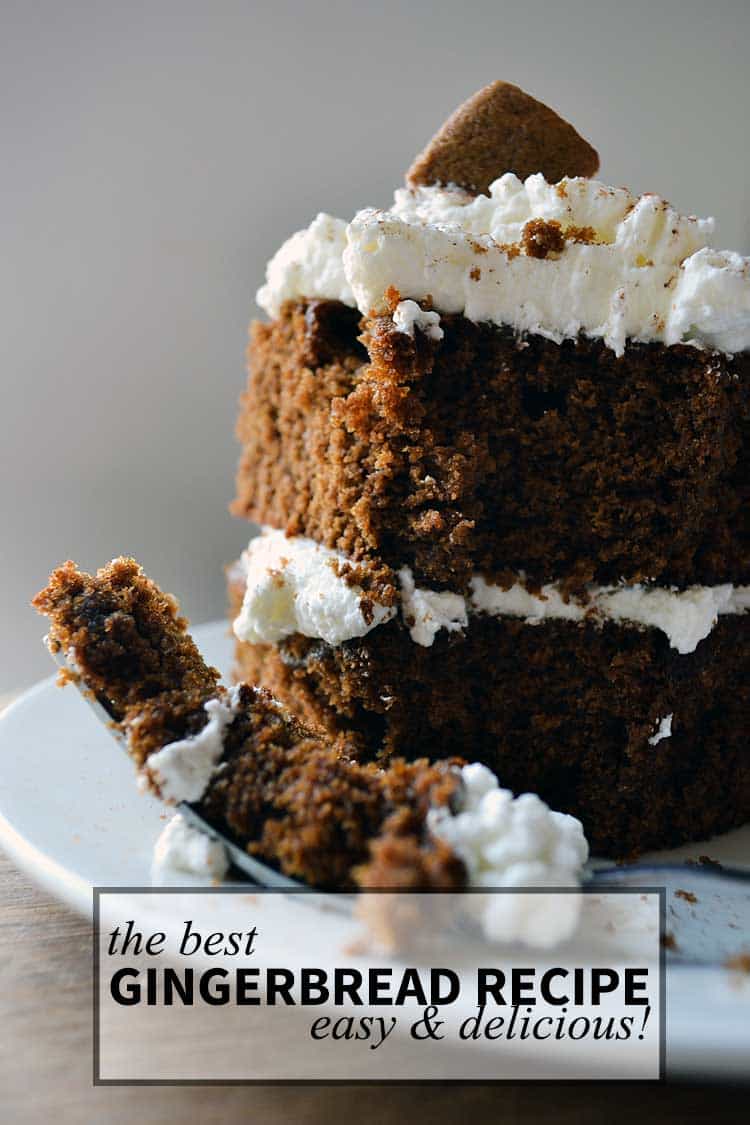 the BEST Gingerbread Cake Recipe--easy to make!
