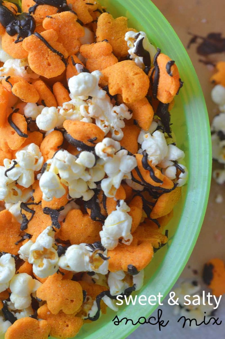 Snack Mix, a sweet and salty simple snack from NellieBellie