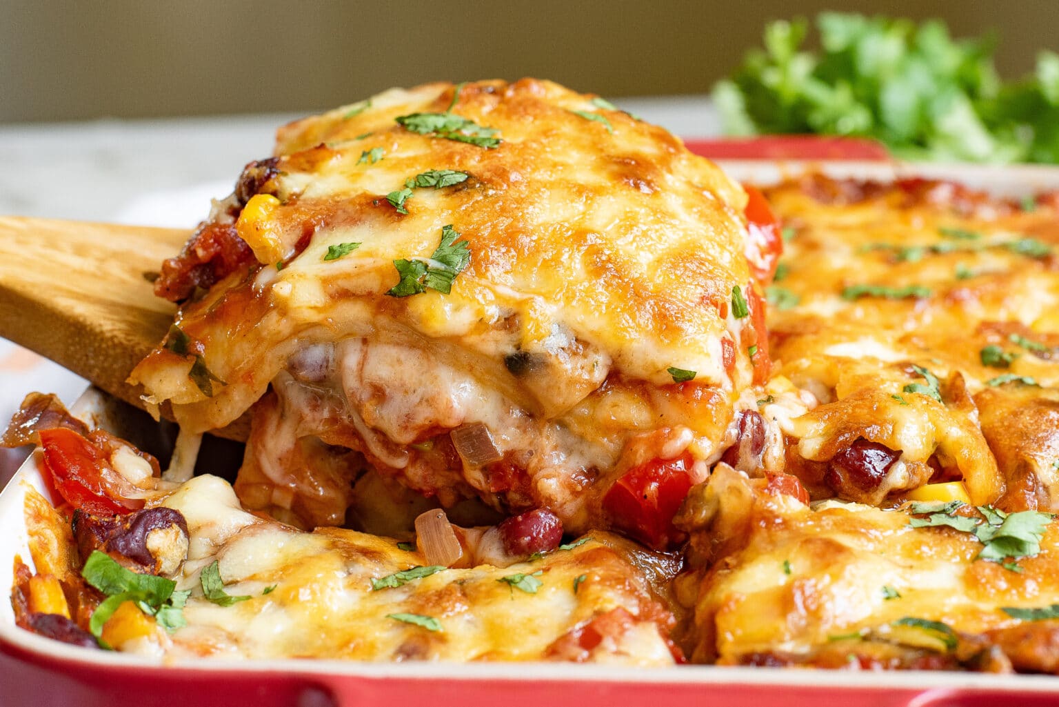 Mexican Tortilla Casserole -- vegetarian, fast, and a family favorite!
