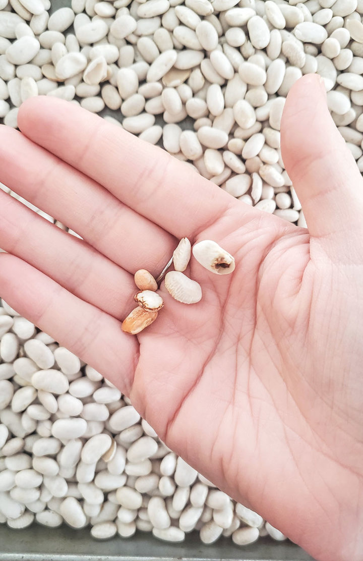 How to Cook Dried Beans ⋆ NellieBellie