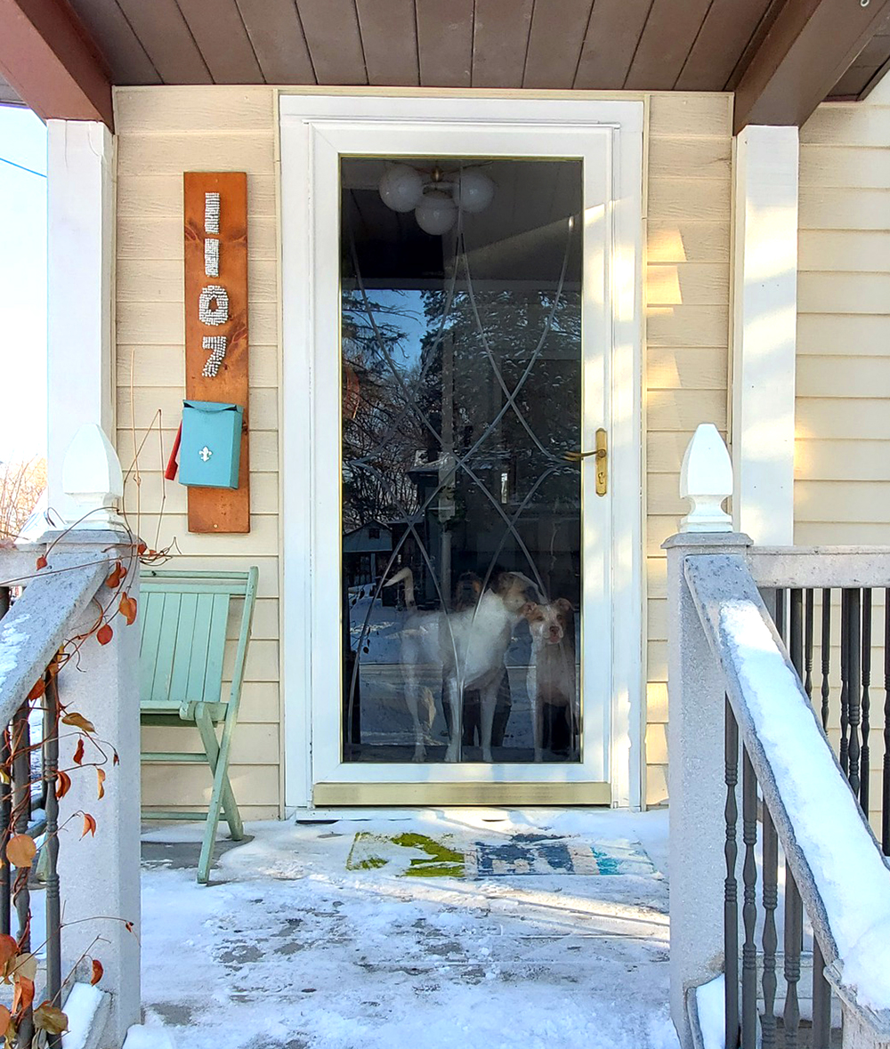 DIY Address Sign: in under 1 hour with only a few supplies!