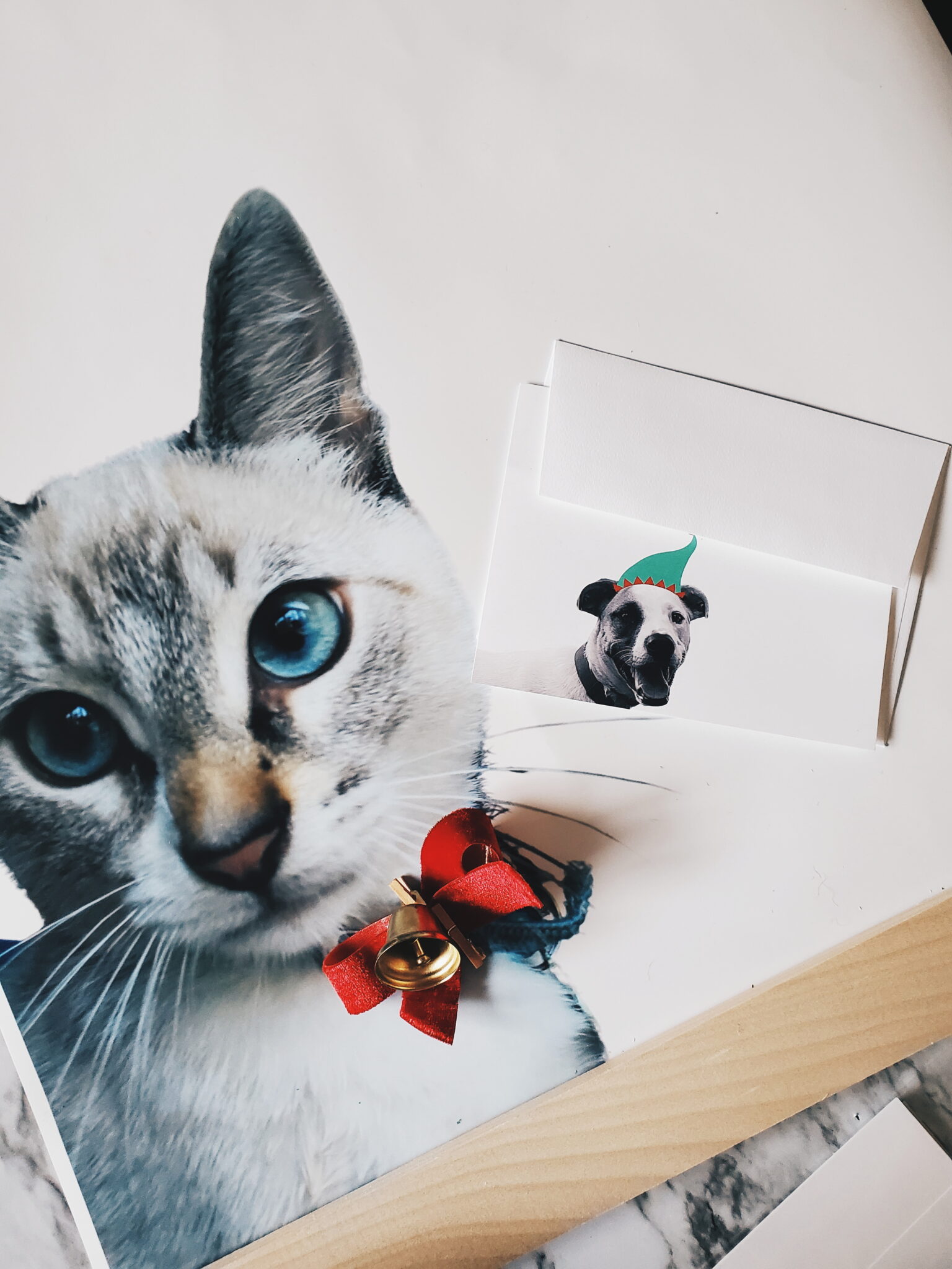 easy DIY Pet Art-- create yur own personalized art! Full tutorial ...