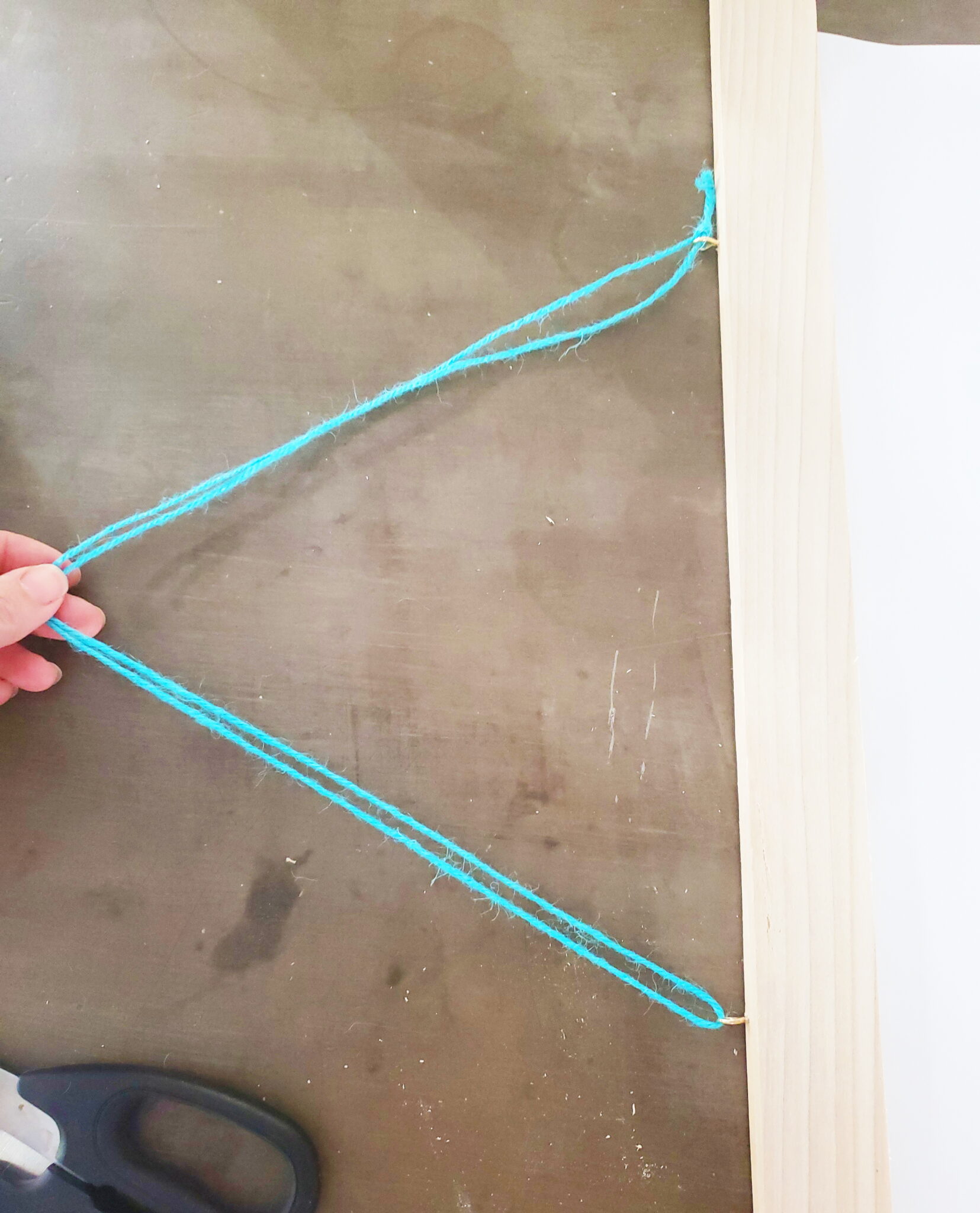 easy DIY Pet Art-- create yur own personalized art! Full tutorial ...