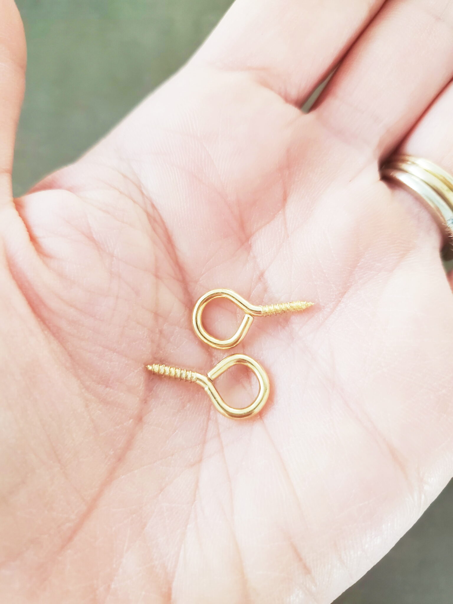 easy DIY Pet Art-- create yur own personalized art! Full tutorial ...